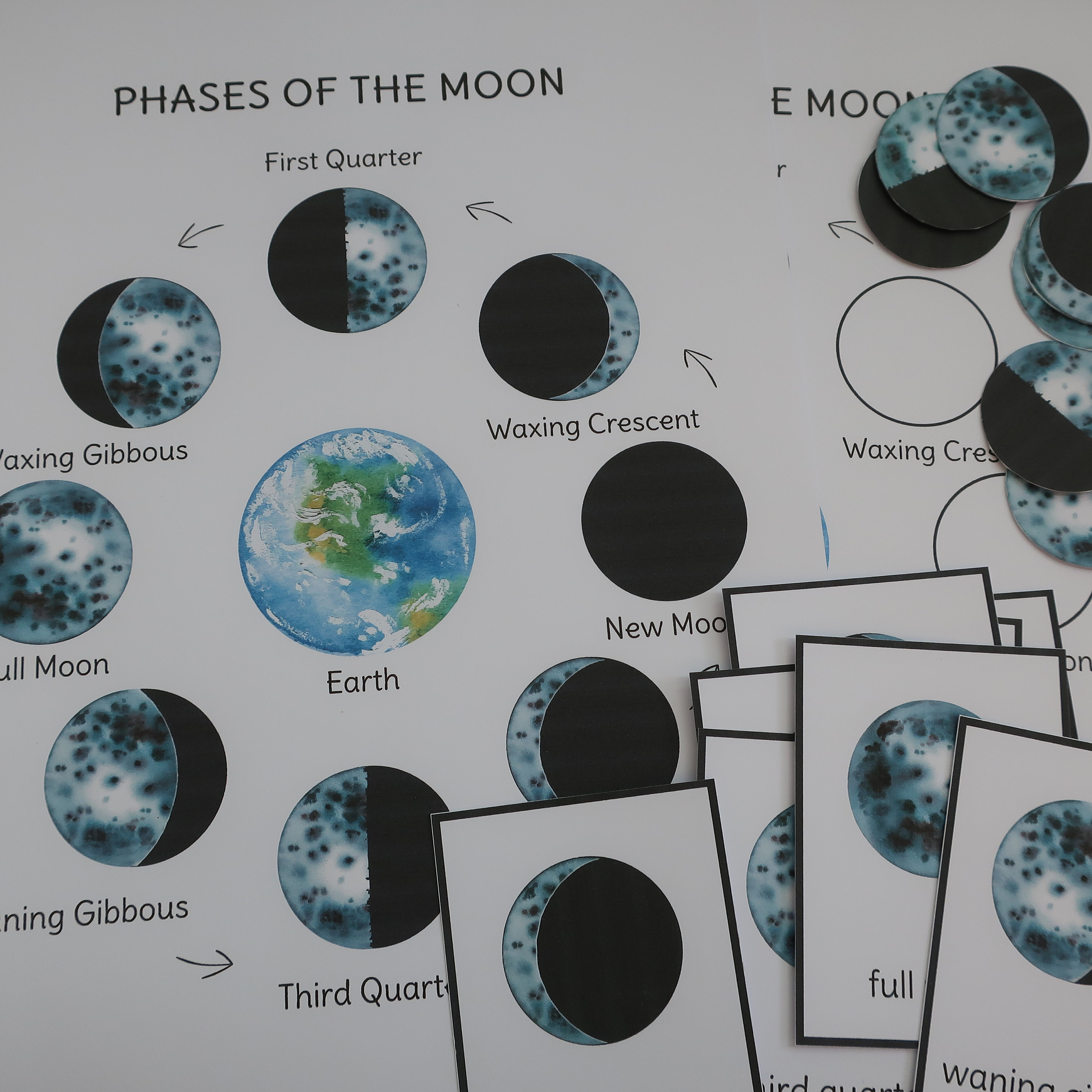 Phases of the Moon Printable Poster Matching Activity and | Etsy