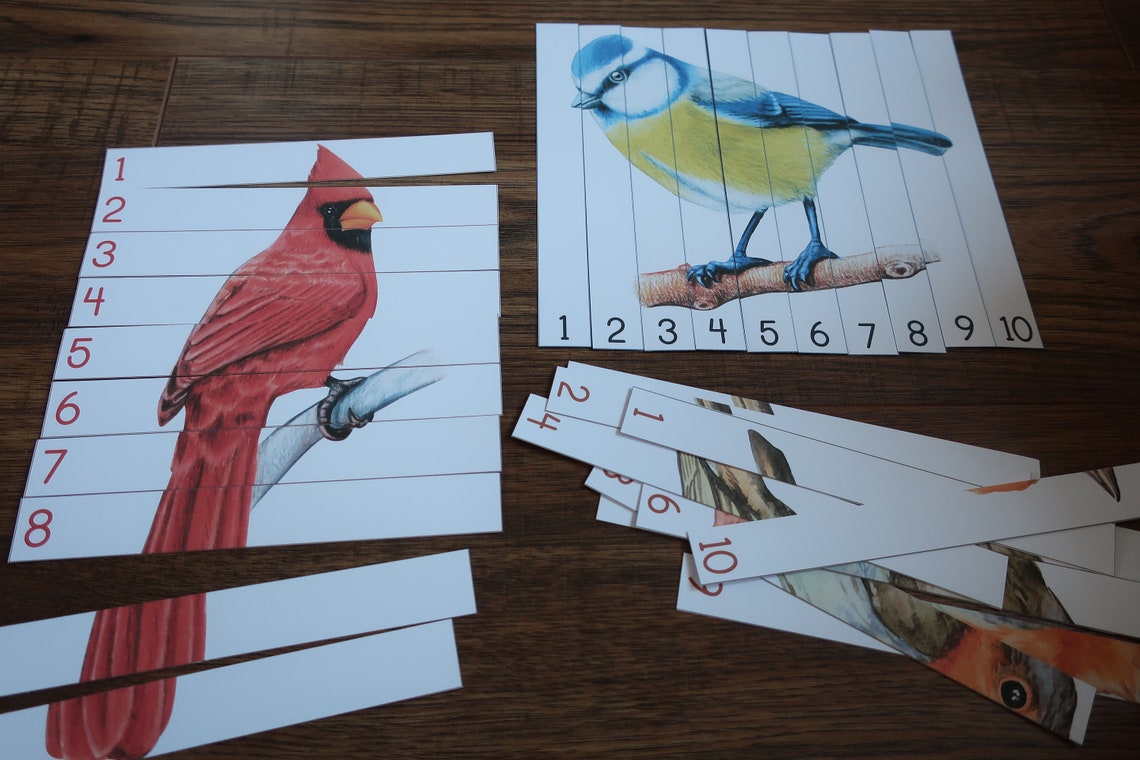 Bird Preschool Printable Number Sequence Puzzles 1-10. - Etsy Ireland