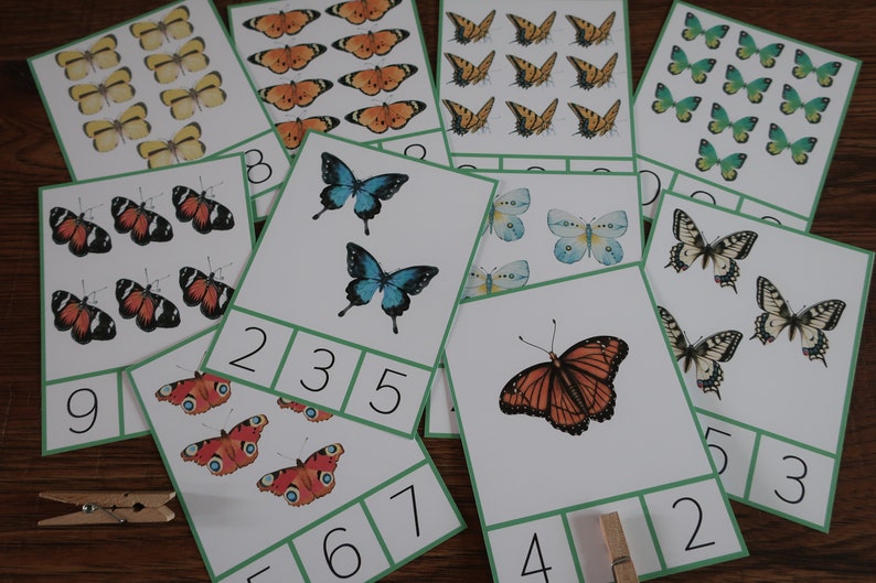 Butterfly Count and Clip Cards 1-10. Preschool Summer | Etsy
