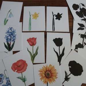 Flower Printable Shadow Matching Cards. Montessori Spring Preschool ...