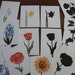 Flower Printable Shadow Matching Cards. Montessori Spring - Etsy