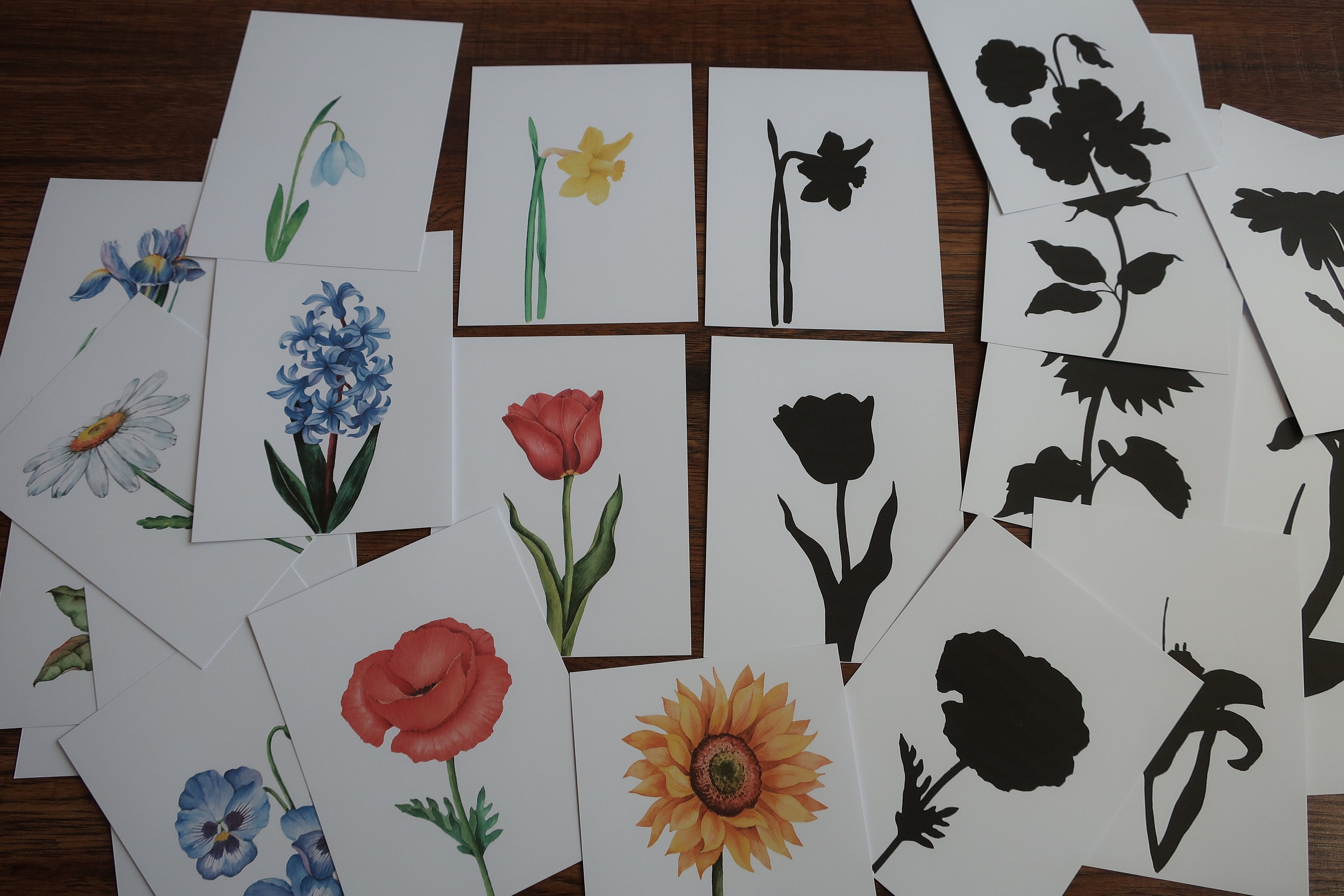 Flower Printable Shadow Matching Cards. Montessori Spring | Etsy