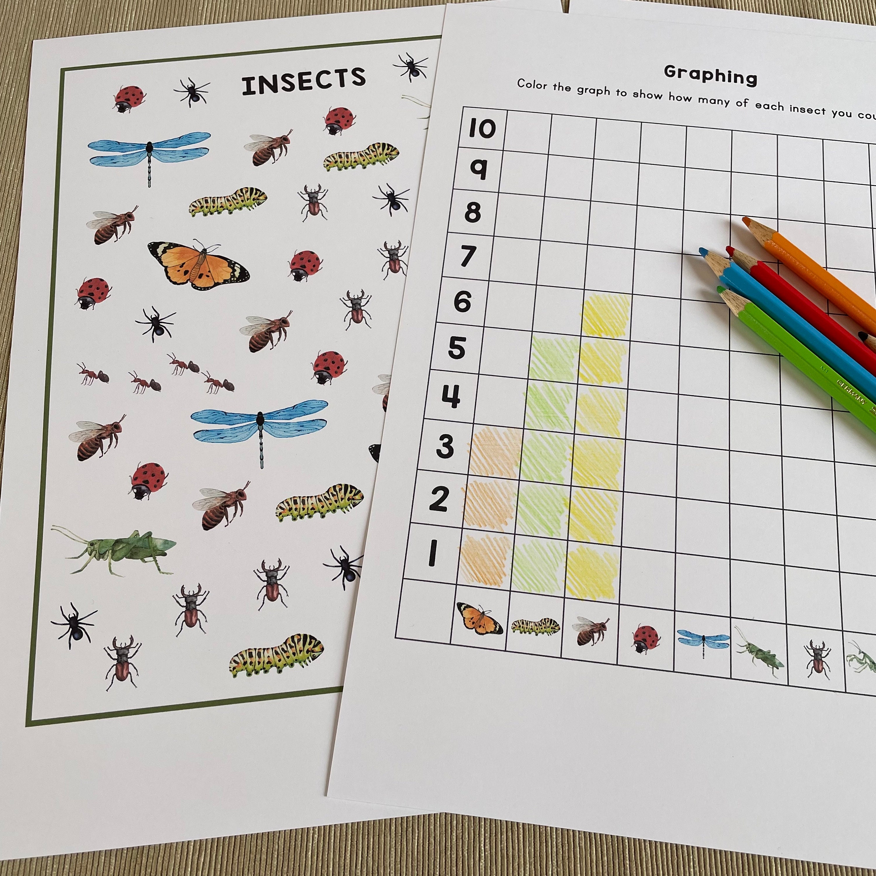 Insects Preschool Printable Graphing. Kindergarten Math Activity. - Etsy