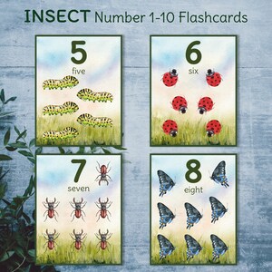 Insect Preschool Printable Number 1-10 Flashcards. Toddler Watercolor ...