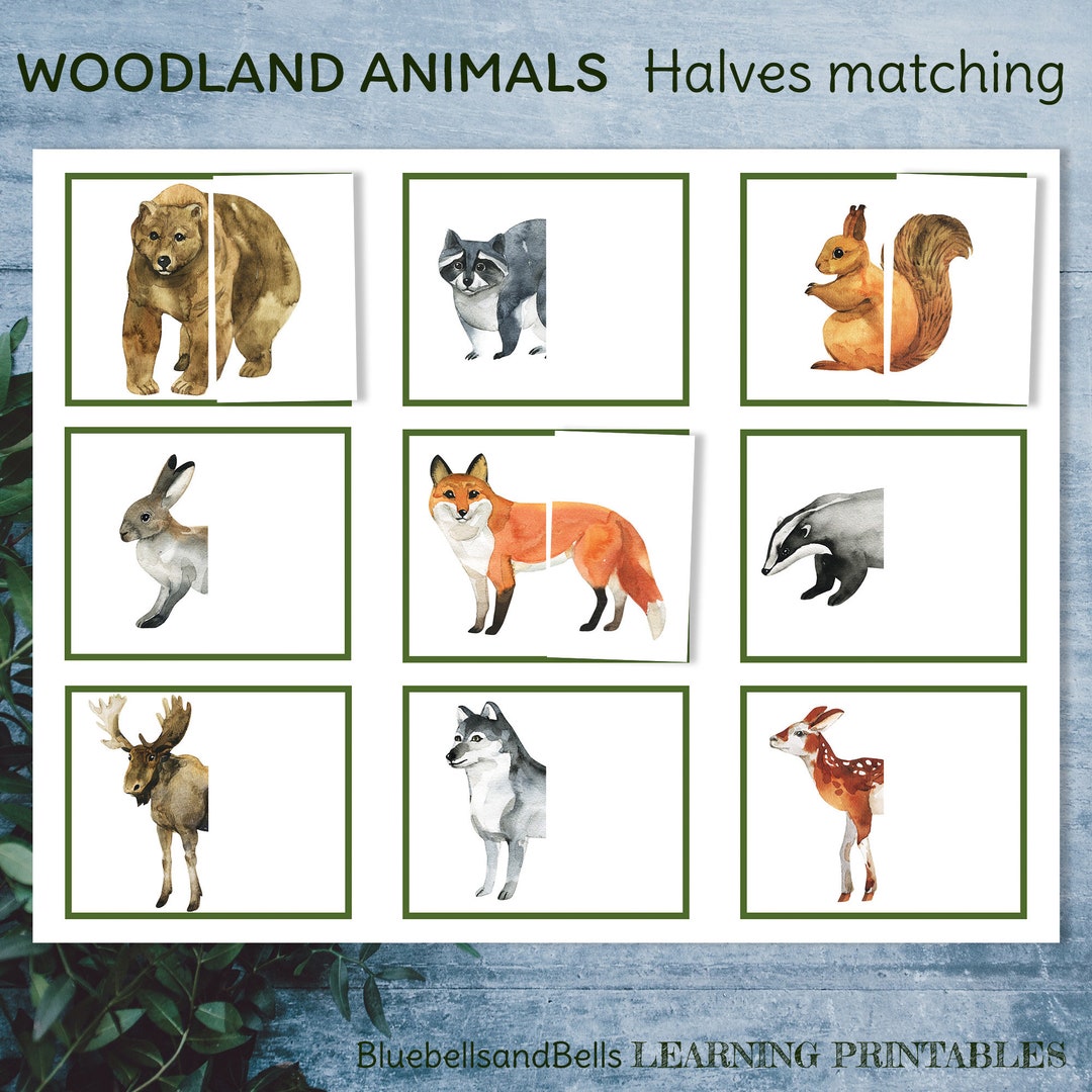 Woodland Animals Puzzle Printable. Montessori Halves Matching Activity ...