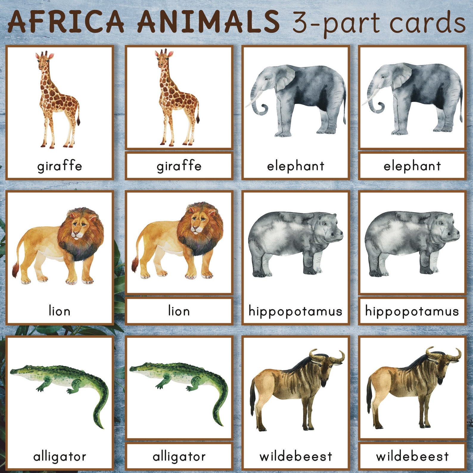 Africa Animals Montessori 3 Part Cards. Preschool and | Etsy