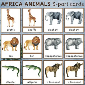 Africa Animals Montessori 3 Part Cards. Preschool and Kindergarten ...