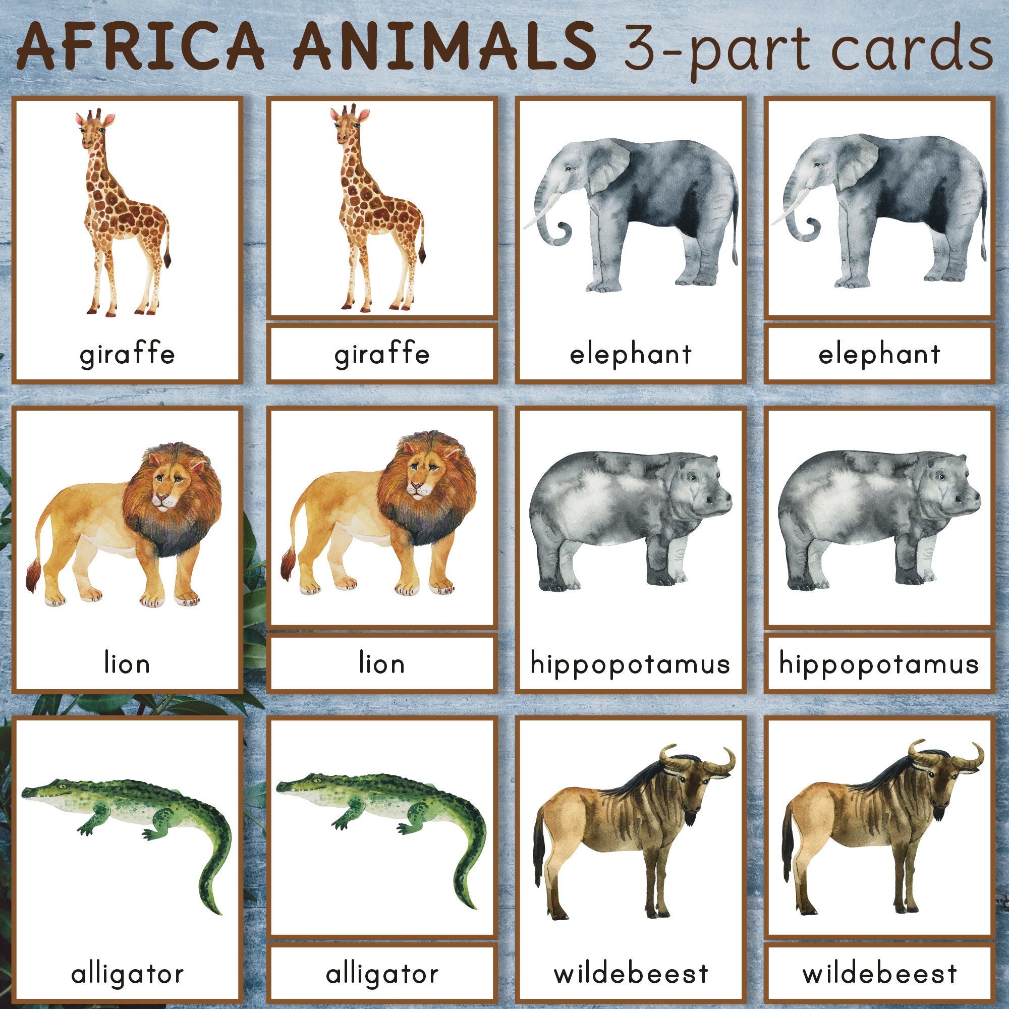 Africa Animals Montessori 3 Part Cards. Preschool and Kindergarten ...