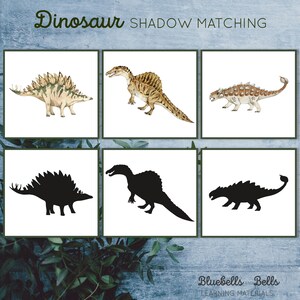Montessori Printable Dinosaur Shadow Matching Cards. Toddler Matching ...