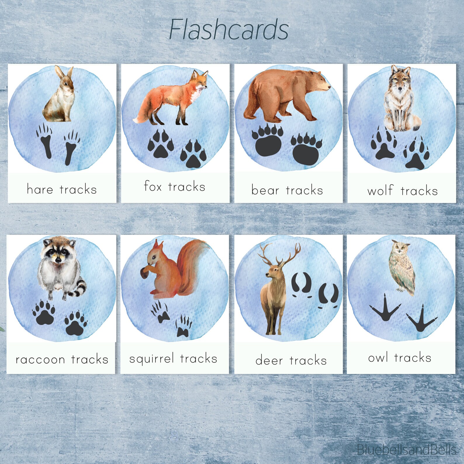 Winter Woodland Animal Tracks Flashcards. Montessori Winter - Etsy UK