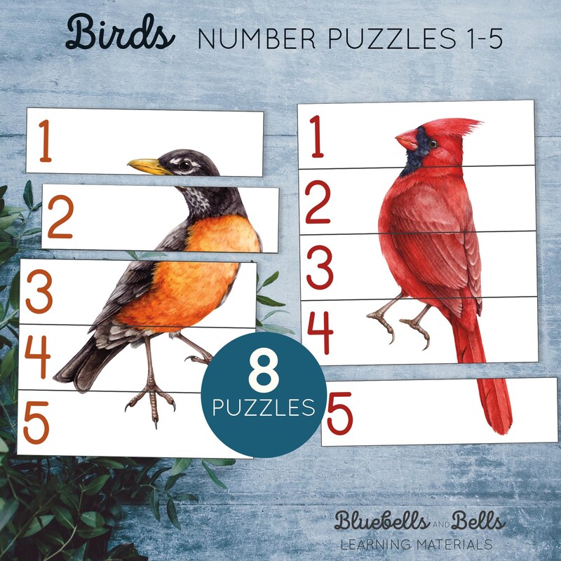 Spring Bird - Etsy