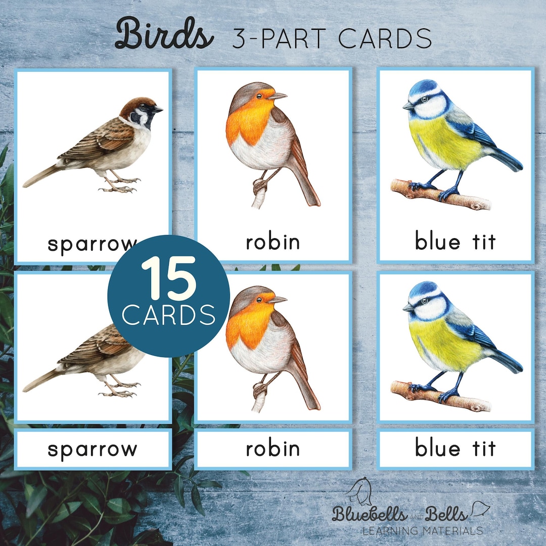 Birds Montessori Printable 3-part Cards. Spring Vocabulary Activity for ...
