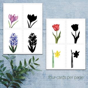 Flower Printable Shadow Matching Cards. Montessori Spring Preschool ...
