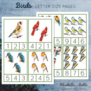 Birds Count and Clip Cards 1-10. Spring Montessori Printable. Preschool ...