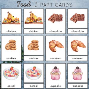 Montessori Printable Food 3 Part Cards. Preschool and Kindergarten ...