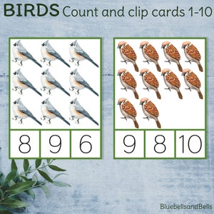 Birds Count and Clip Cards 1-10. Spring Montessori Printable. Preschool ...