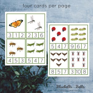 Insect Count and Clip Cards 1-10. Montessori Summer Math Printable ...