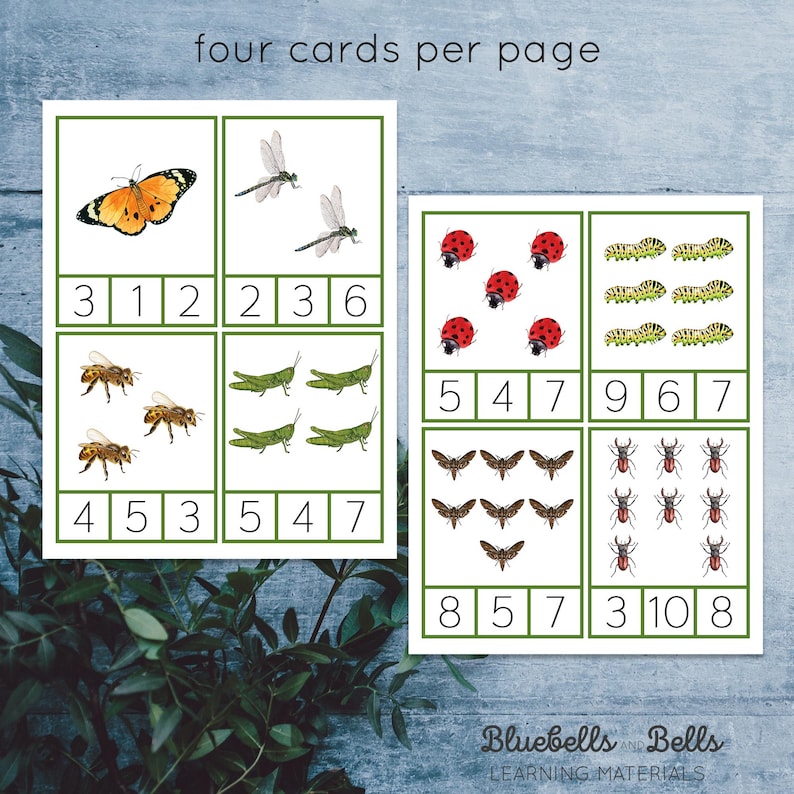 Insect Count and Clip Cards 1-10. Montessori Summer Math Printable ...