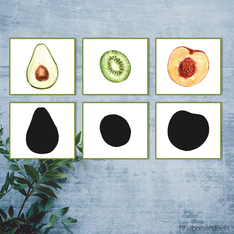 Fruit Shadow Matching Cards. Montessori Preschool Printable. | Etsy