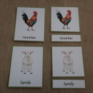 Farm Animal Montessori Printable 3 Part Cards. Preschool and ...