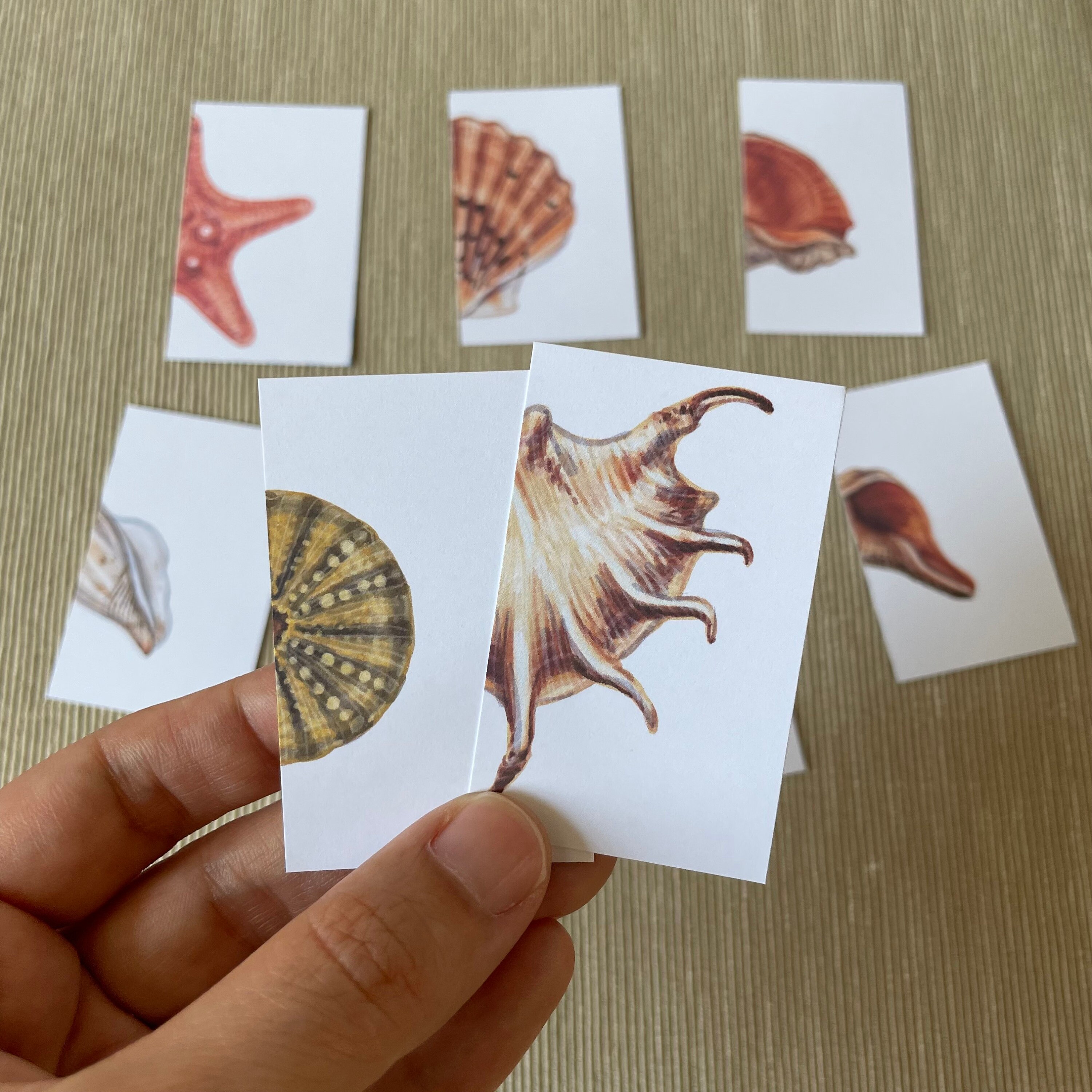 Toddler Summer Puzzle Seashells Halves Matching. Montessori Busy Book ...