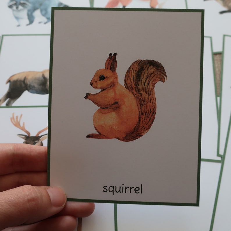 Woodland Animal Flash Cards. Toddler Printable Watercolor - Etsy