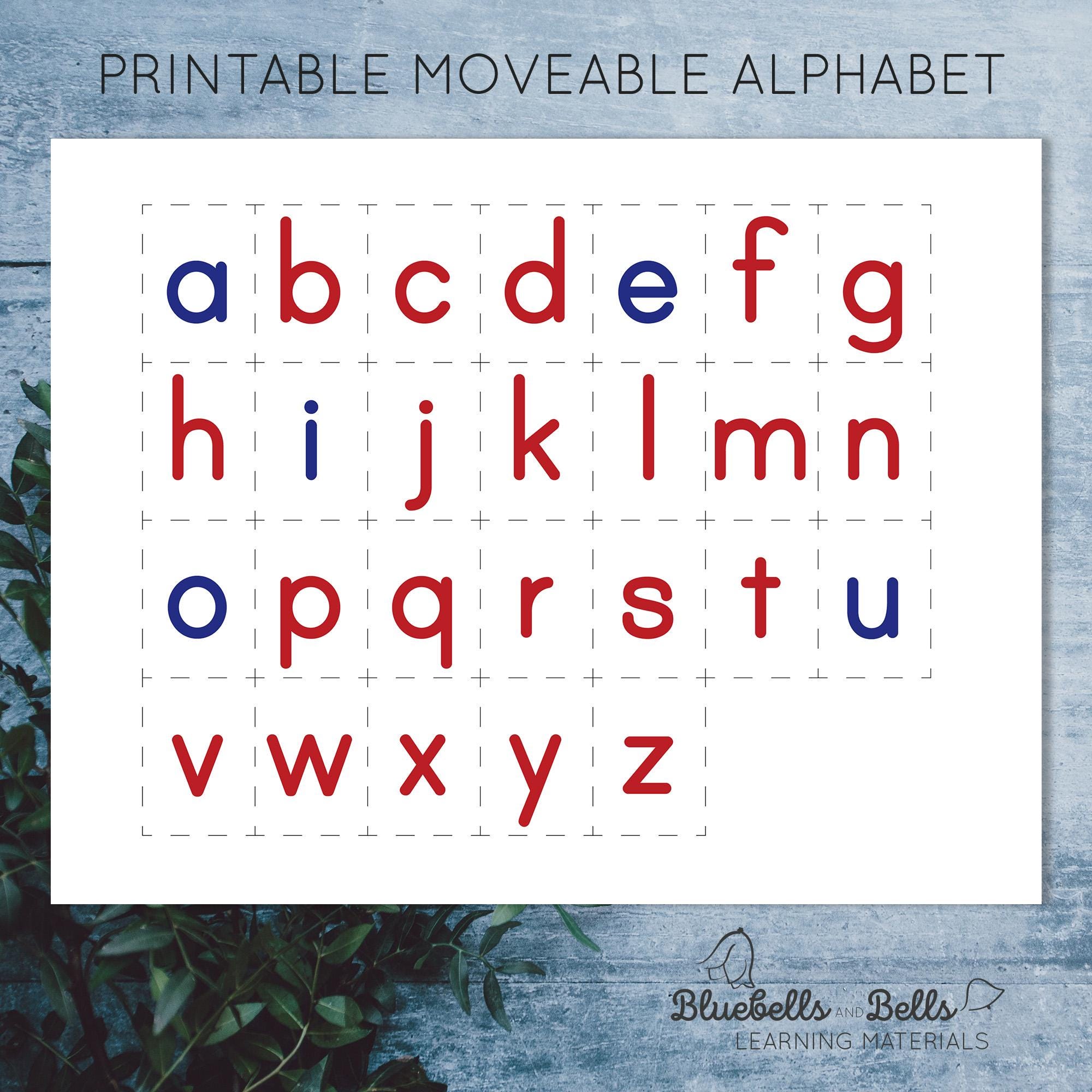 Montessori Moveable Alphabet Printable CVCC Words Cards for Letter ...