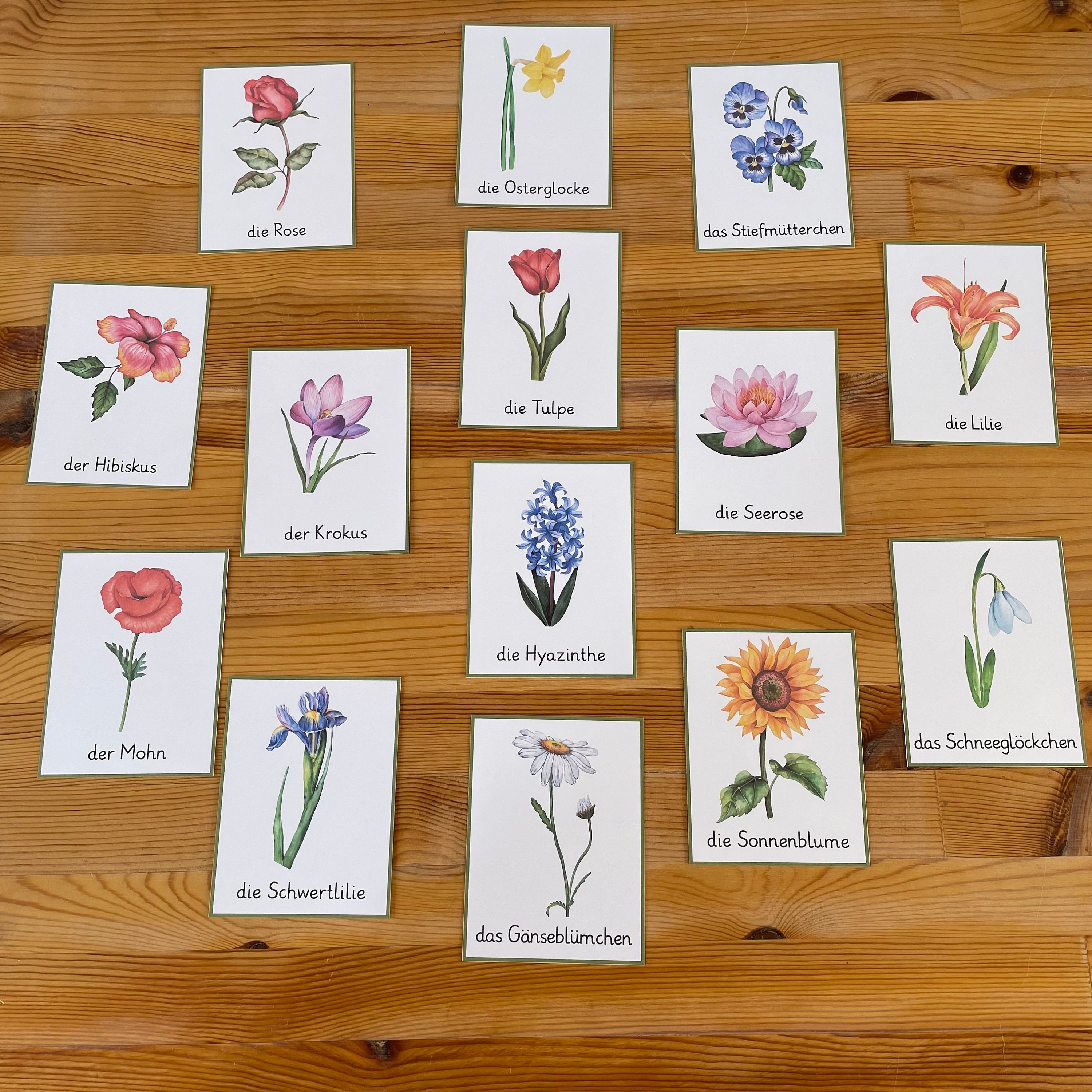 Blumen Bildkarten. Wortschatz Kindergarten Und Vorschule Druckbare ...