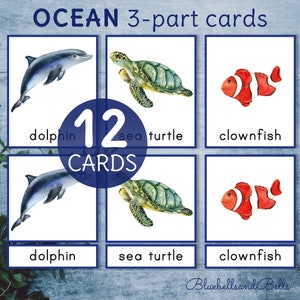 Ocean Montessori Printable 3 Part Cards. Preschool Vocabulary Cards ...