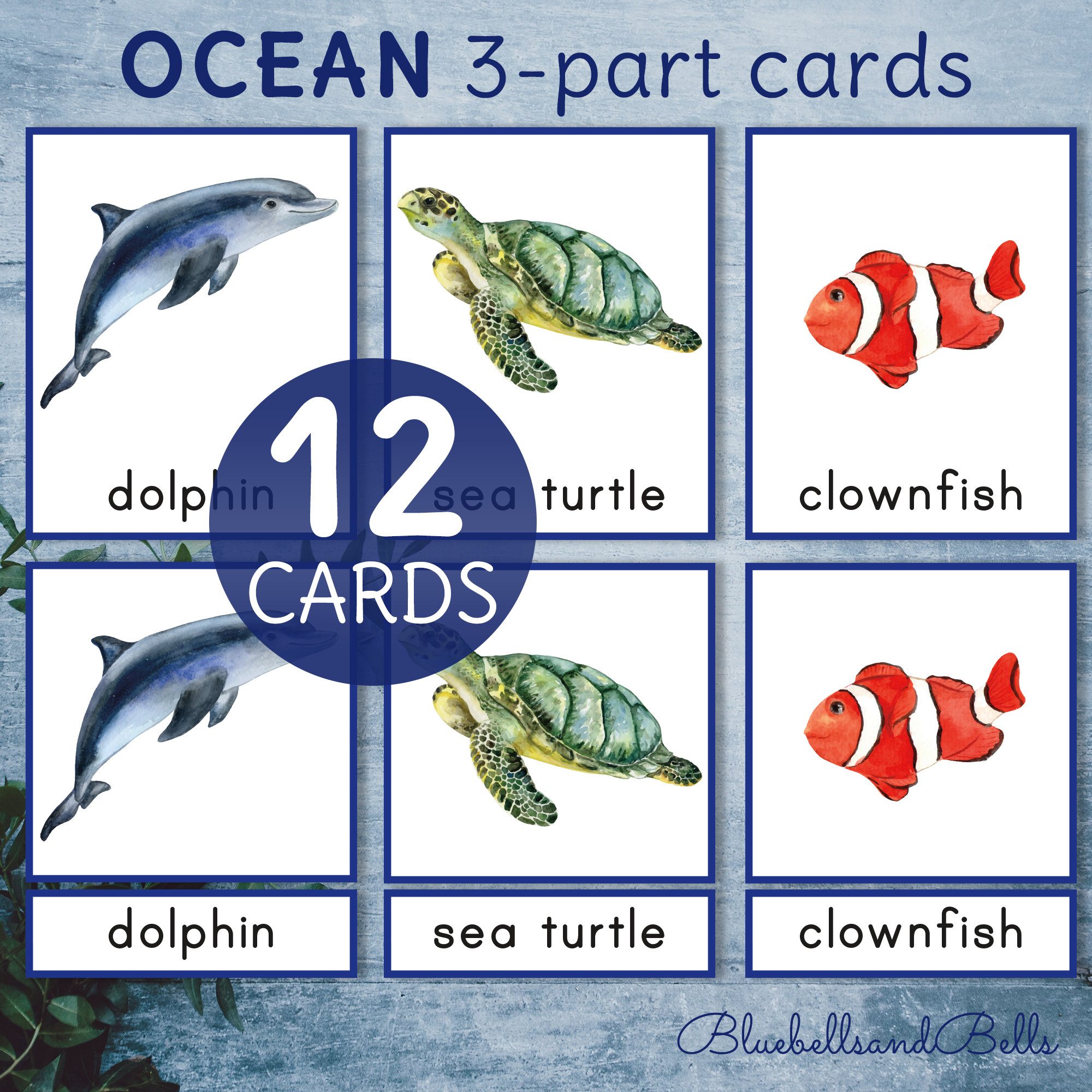 Ocean Montessori Printable 3 Part Cards. Preschool Vocabulary | Etsy