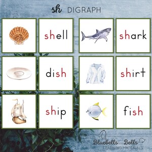 Digraph Cards Matching Activity. Montessori Phonics Green Series ...