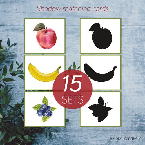 Montessori Printable Dinosaur Shadow Matching Cards. Toddler - Etsy