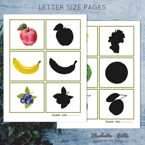Fruit Shadow Matching Cards. Montessori Preschool Printable. Toddler ...