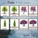 Trees Montessori 3 Part Cards. Tree Identification Cards. Vocabulary ...