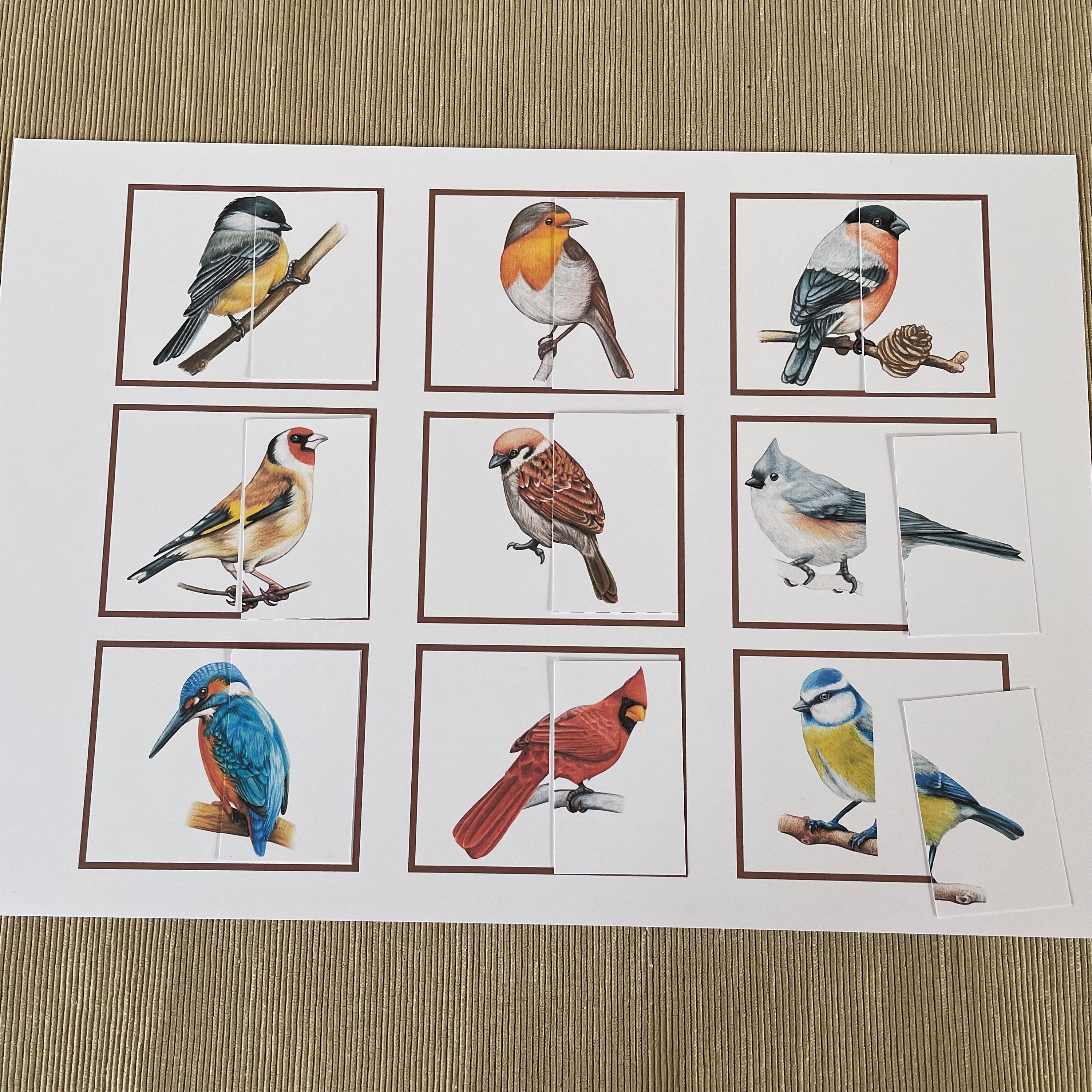 Toddler Puzzle Birds Halves Matching. Montessori Spring Printable Busy ...