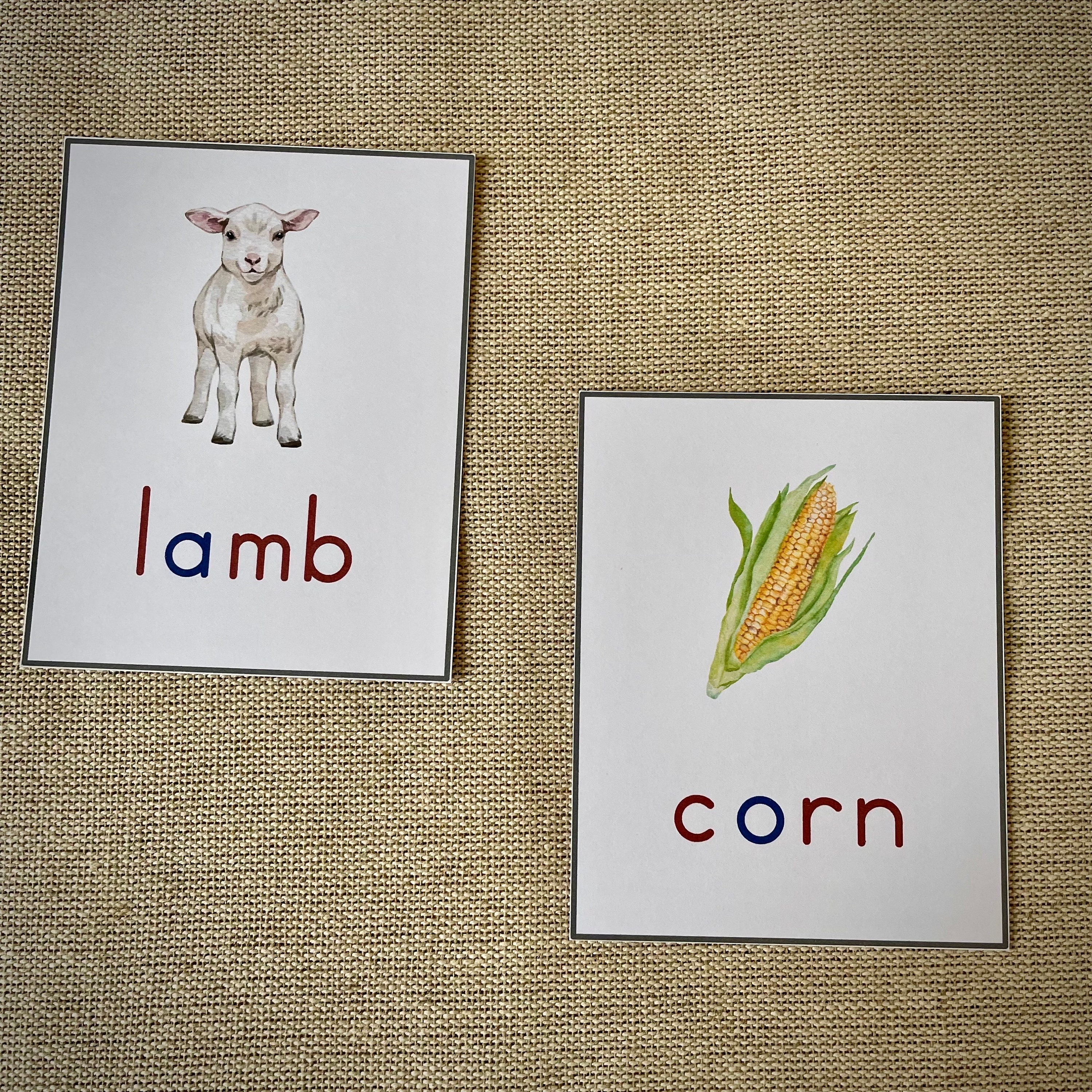 Blends Cards. CVCC Words Printable. - Etsy
