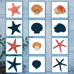 Seashell Shadow Matching Cards. Montessori Preschool Ocean Printable ...
