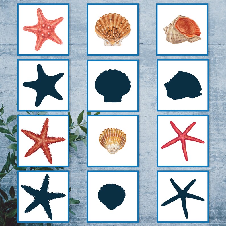 Seashell Shadow Matching Cards. Montessori Preschool Ocean | Etsy