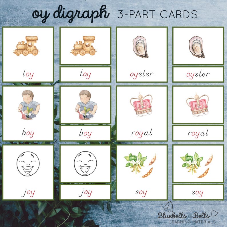 Montessori Printable Digraph 3-part Cards. Green Series Activity. - Etsy