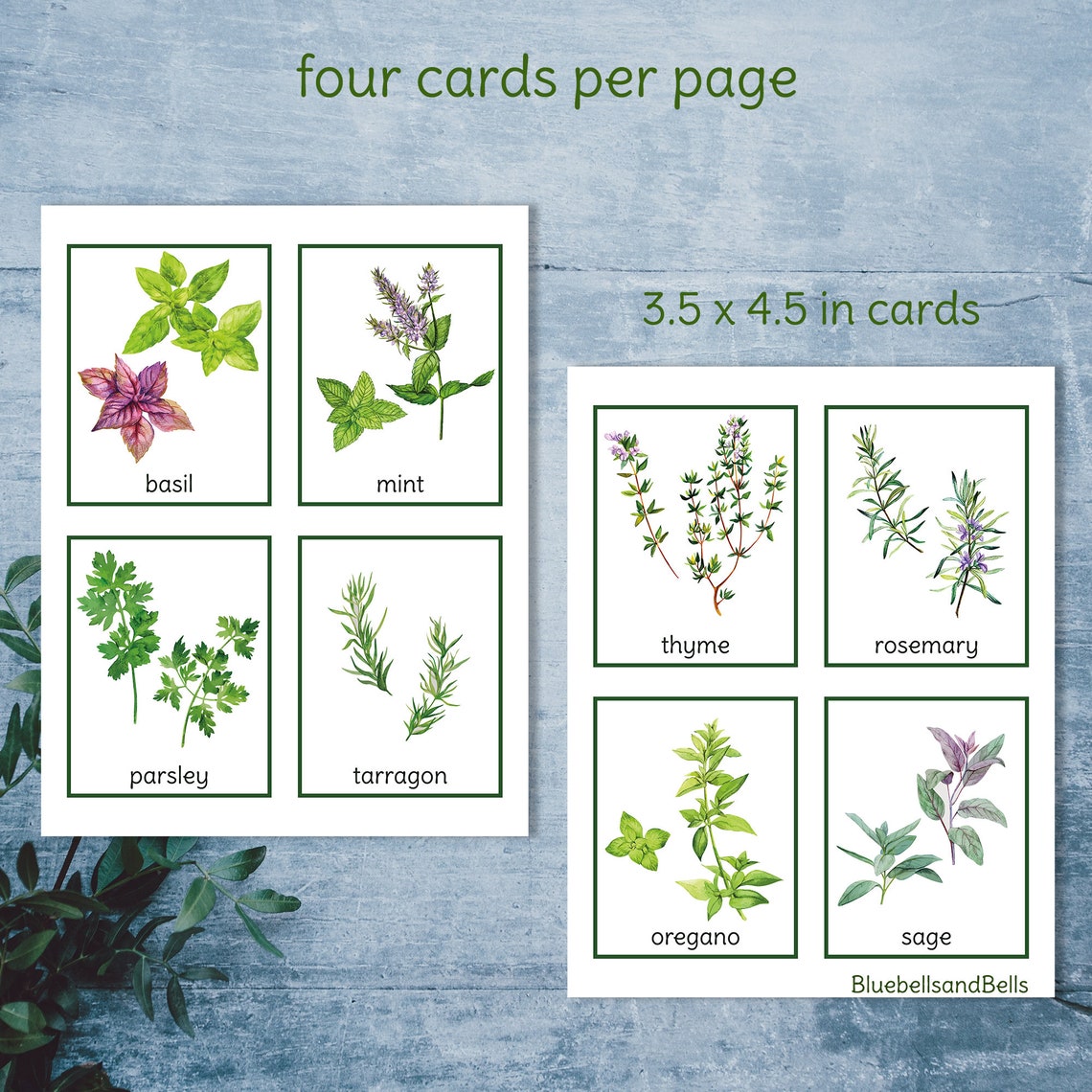 Herbs printable flashcards. Nature watercolor cards. | Etsy