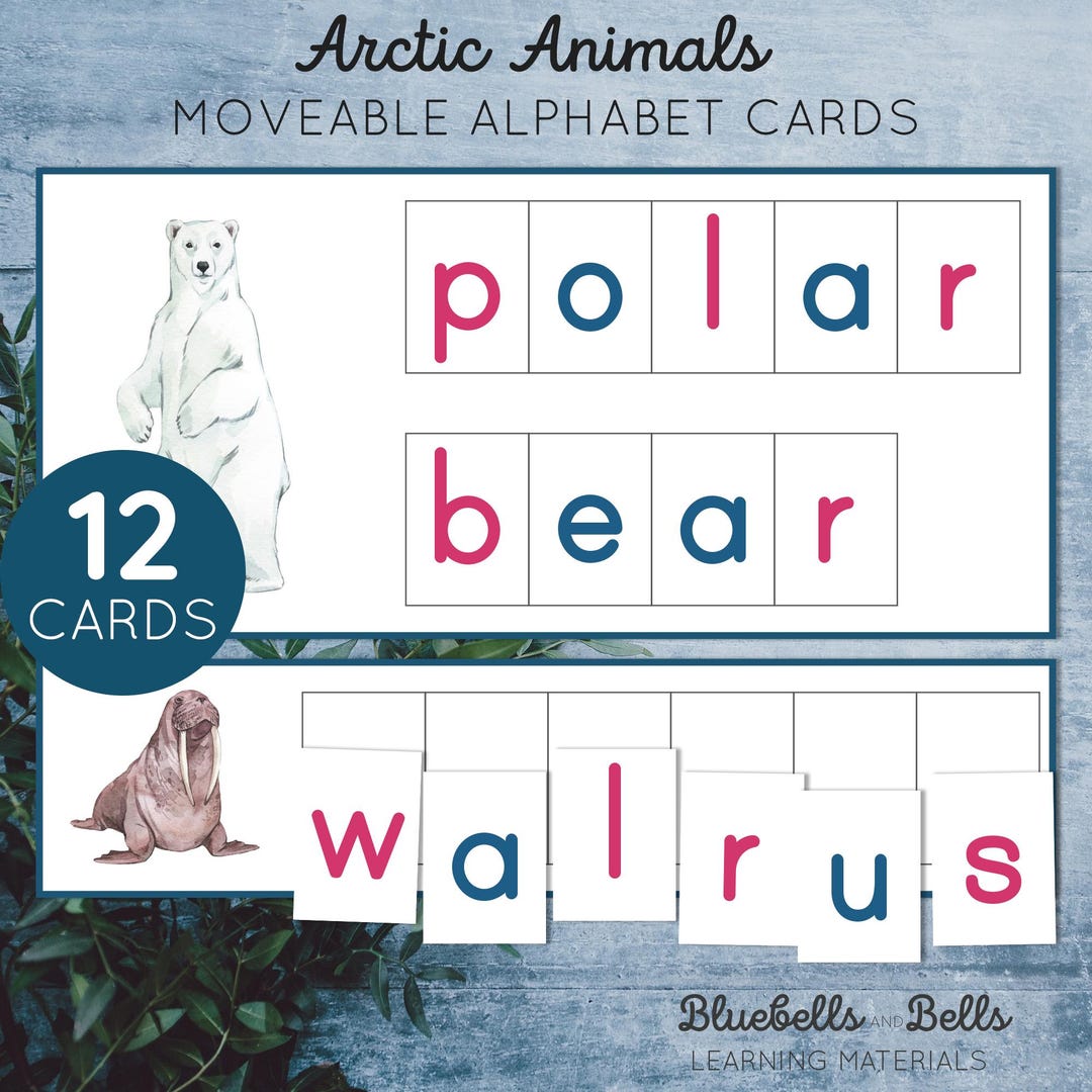Arctic Animals Montessori Moveable Alphabet Word Cards for Letter ...