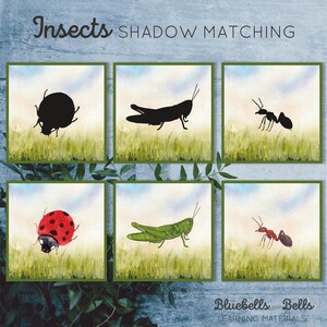 Insect Shadow Matching Cards. Montessori Pre-reading Printable for ...