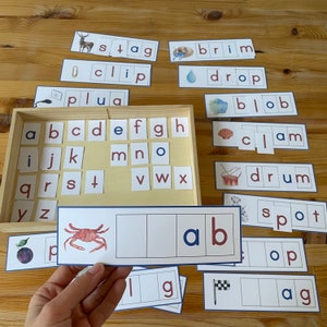 Montessori Printable Moveable Alphabet. CCVC Word Phonics Beginning ...
