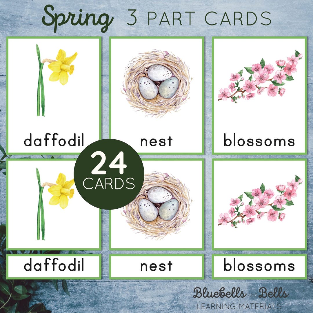 Spring Montessori Printable 3-part Cards. Spring Vocabulary Activity ...