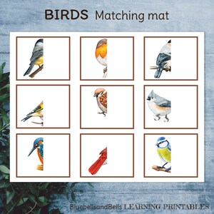 Toddler Puzzle Birds Halves Matching. Montessori Spring Printable Busy ...