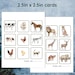 Animal Sorting Activity Farm and Wild. Montessori Toddler and Preschool ...