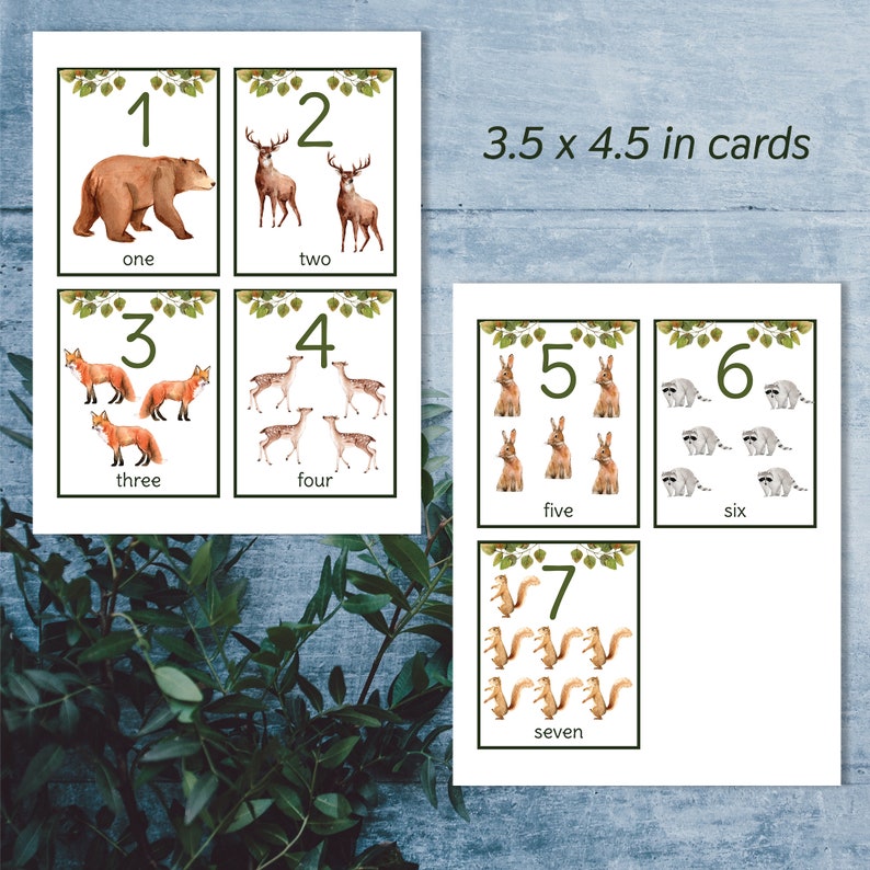 Woodland Animals Number Flashcards 1-10. Nature Counting Cards | Etsy