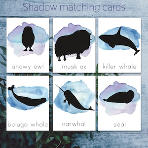 Arctic Animals Montessori Printable. North Pole Animals Toddler ...