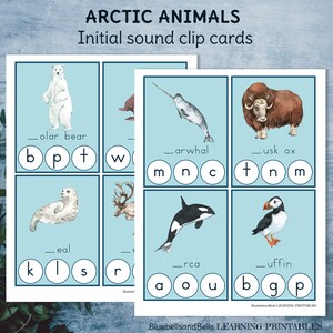 Arctic Animals Preschool Printable Beginning Sound Clip Cards. - Etsy