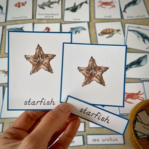 Ocean Montessori Printable 3 Part Cards. Preschool Vocabulary Cards ...